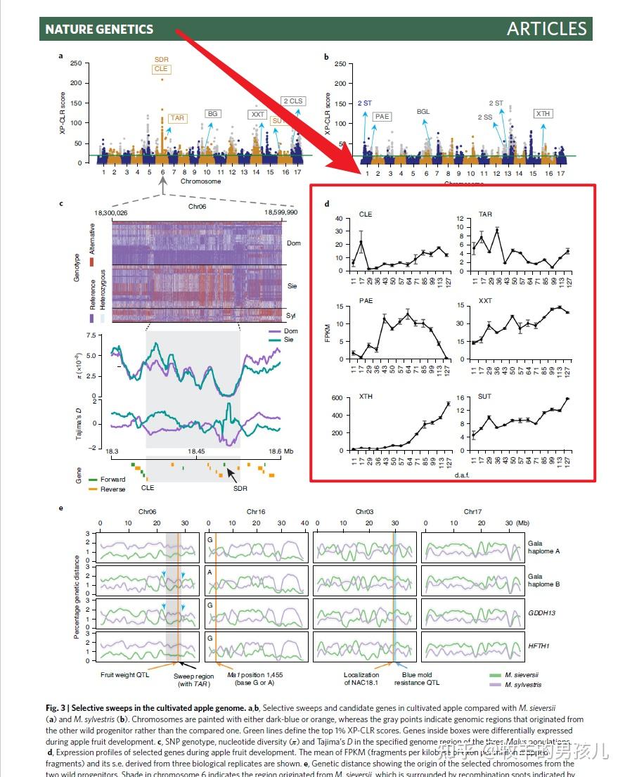 跟着Nature Genetics学画图：R语言ggplot2画折线图并添加误差线 - 知乎