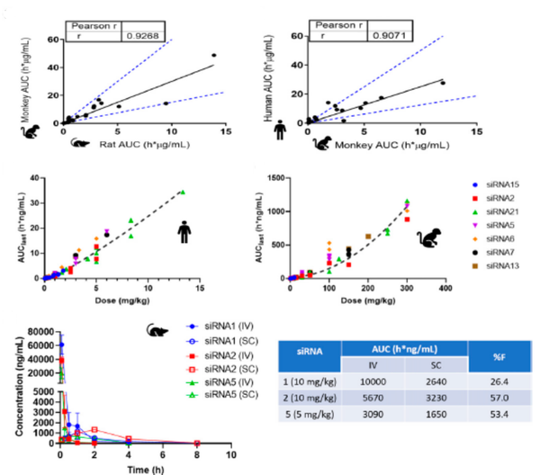 GalNAc-siRNAs药物ADME特性及PK-PD模型 - 知乎