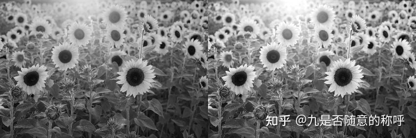 Opencv Algorithm:based On Python And C,直方图正规化 知乎