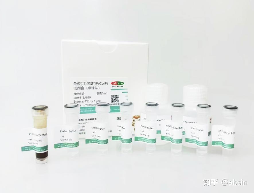 免疫 (共) 沉淀 (IP/CoIP) 磁珠法VS琼脂糖珠法 - 知乎