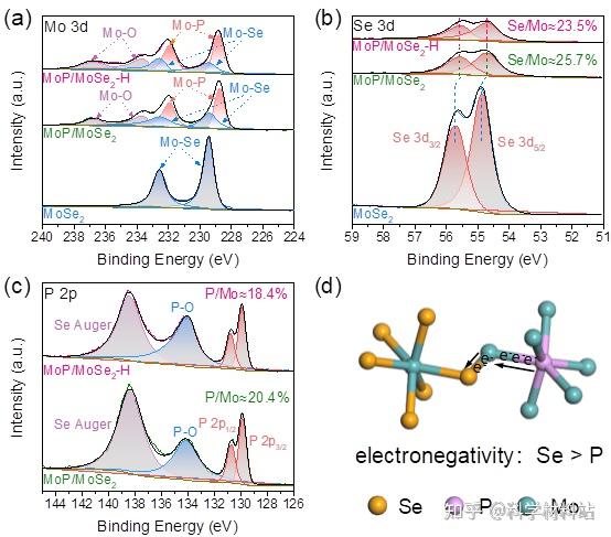 嘉兴学院李雷教授Small：“双空位”协同异质界面，高效产氢和产电 - 知乎