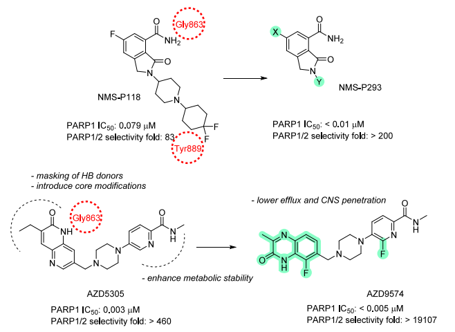 前沿热点 | 癌症的合成致死性靶向药物设计 - 知乎