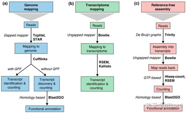 Genome Biology | 最细RNA-seq数据分析指南，转录组的一切都在这 - 知乎