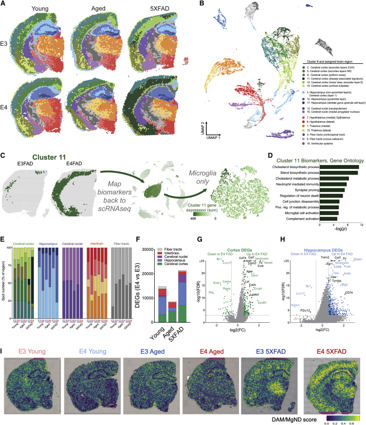 Cell Report | 应用时空组学联合揭示APOE在调节小胶质免疫代谢中的核心作用 - 知乎