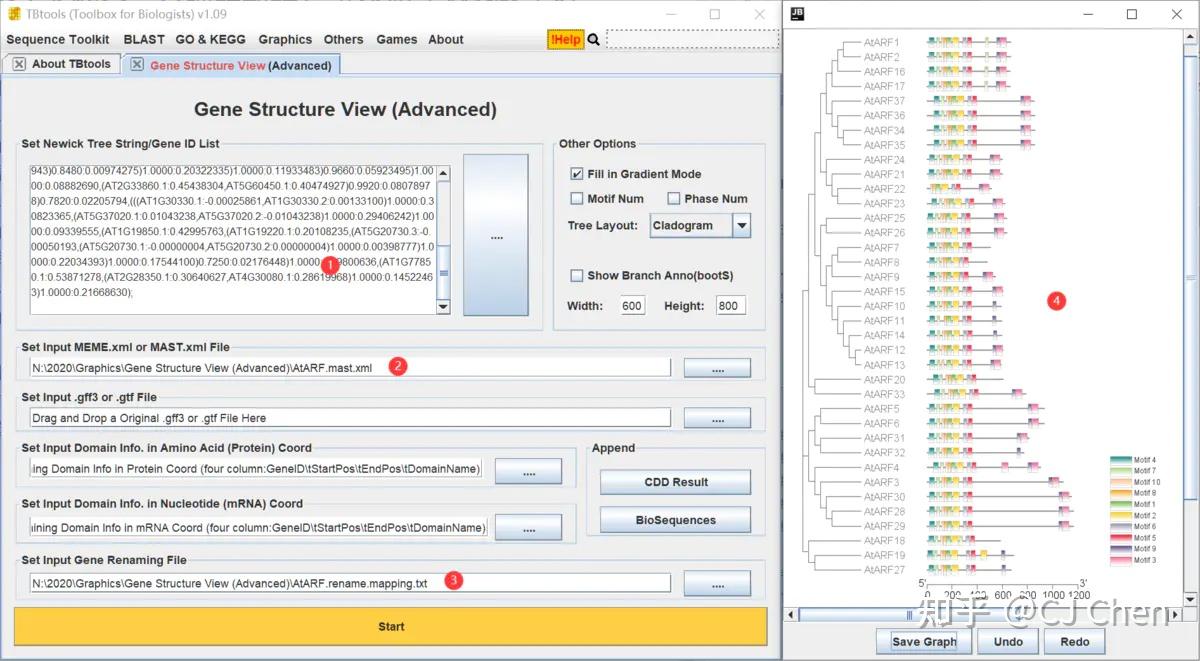TBtools | 多图合一至强版教程！进化树 + Motifs + 结构域 + 启动子 + 基因结构 + .... - 知乎
