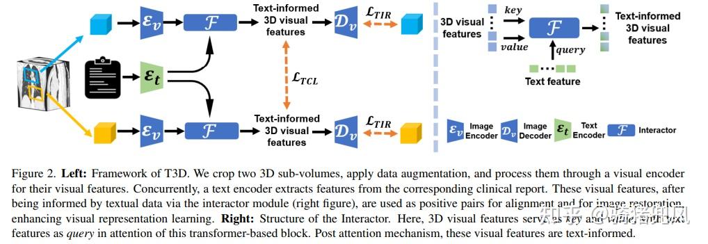T3D——新一代三维医学图像理解框架 - 知乎