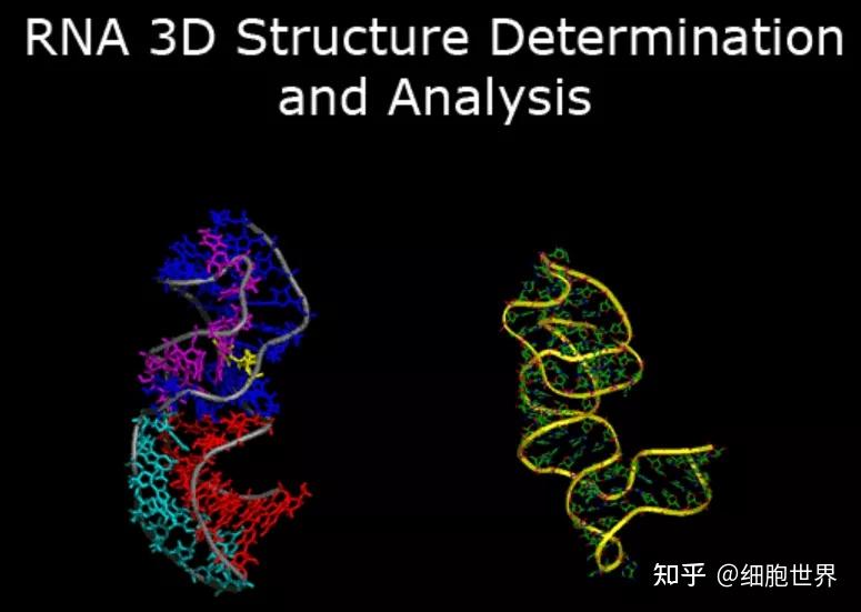 Science | AI精准预测RNA结构 - 知乎