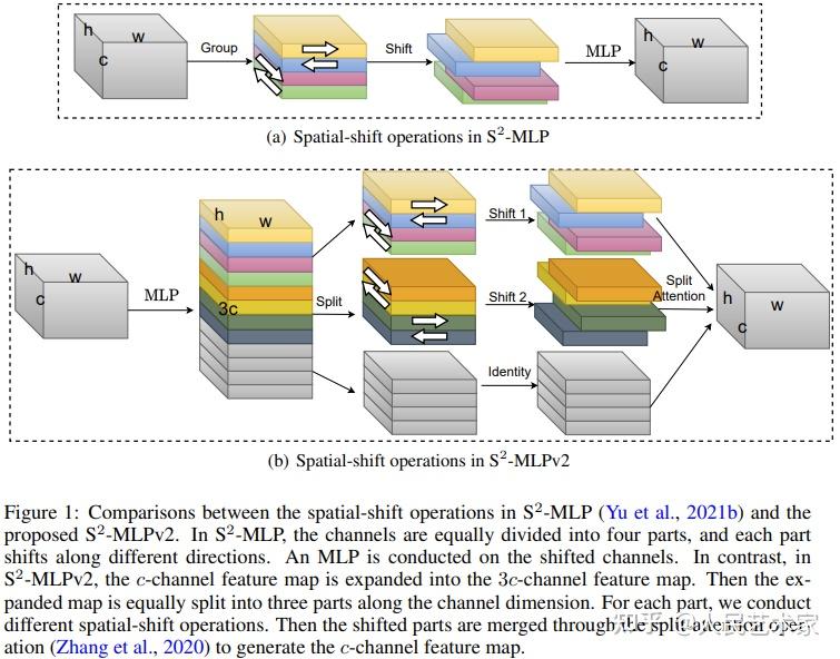 Vision MLP 之 S2-MLP V1&V2 : Spatial-Shift MLP Architecture for Vision - 知乎