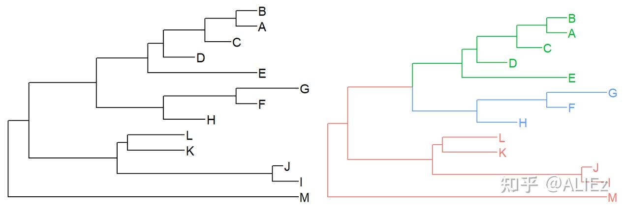 R语言绘制进化树：treeio+ggtree - 知乎