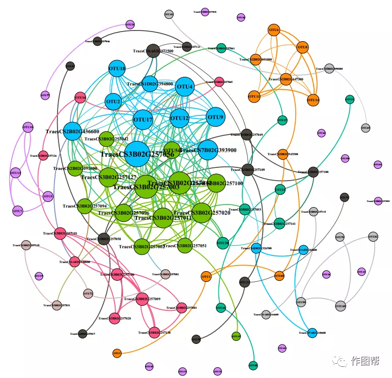 在线作图丨绘制组间网络分析(Network Analysis) - 知乎