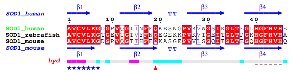 用ESPript 3.0做出好看的多重序列比对图（2）