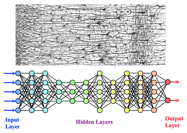 什么是人工神经网络？ - 知乎