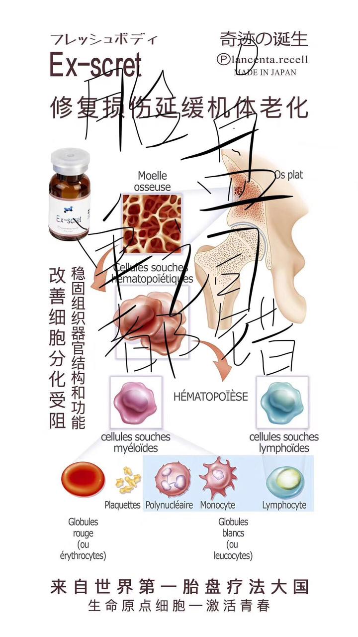 EX-SCRET和SCRET到底哪个是真的 - 知乎