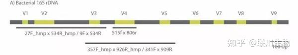 16S rDNA测序如何鉴定微生物到种 - 知乎