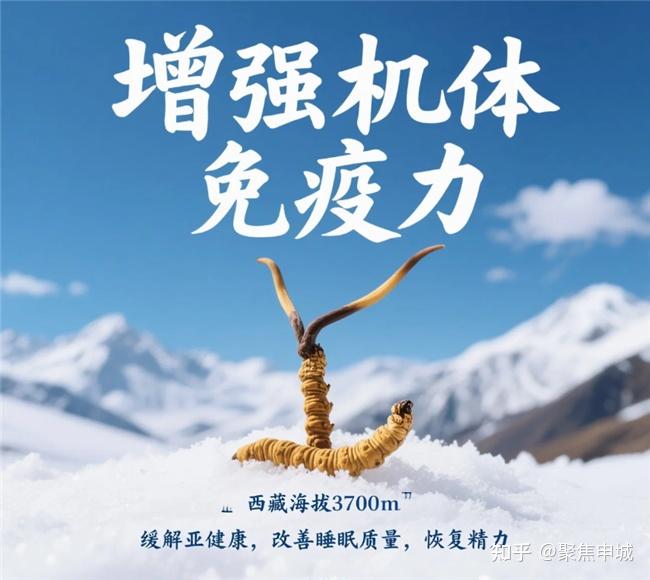 紧急！冬虫夏草胶囊前 10 强公布，快来找最正宗的它 - 知乎