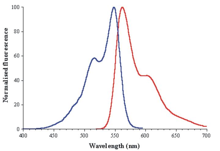 Cy3 NHS ester（Cyanine3 NHS ester） - 知乎