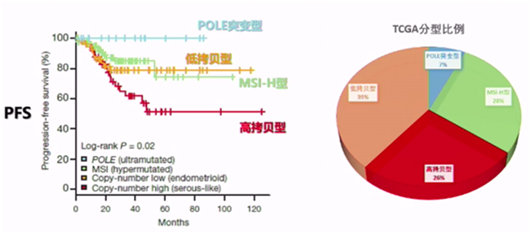 子宫内膜癌分子分型学习笔记 - 知乎