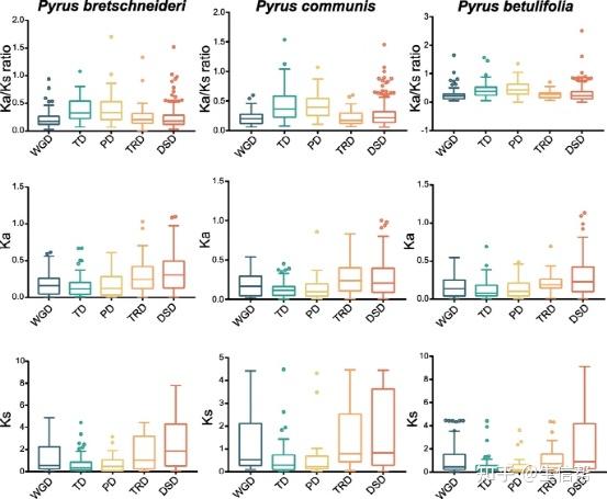 基因家族｜细胞色素P450超家族的全基因组鉴定及其在黄酮生物合成中的功能 - 知乎