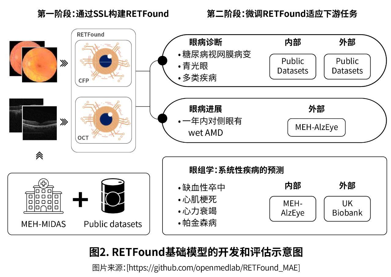 免费！首个眼科AI基础模型：展现“超越医生”的全身疾病预测能力 - 知乎