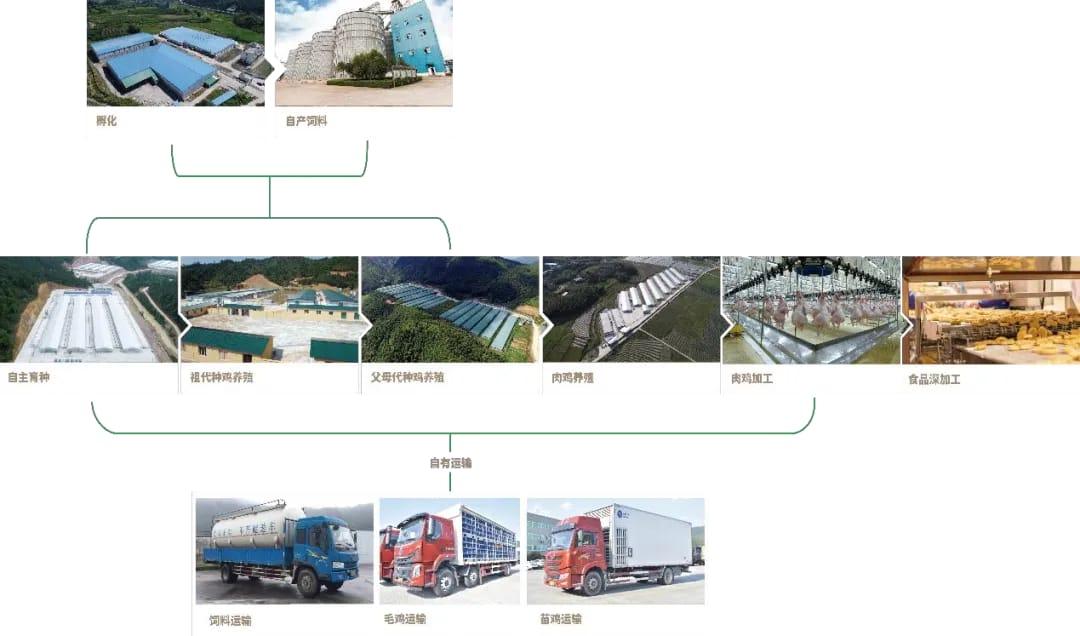 圣农集团：SAP+智慧农场系统全面上线，实现从种源到食品全产业链数字化管理 - 知乎