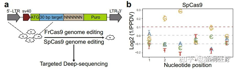 技术介绍 | CRISPR-Cas之如何鉴定PAM？ - 知乎