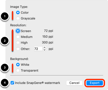 SnapGene如何将DNA、RNA、蛋白质图谱文件导出为图片 - 知乎