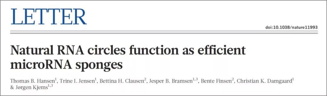 circRNA：明星分子＋经典套路，依然可以发6分文章 - 知乎