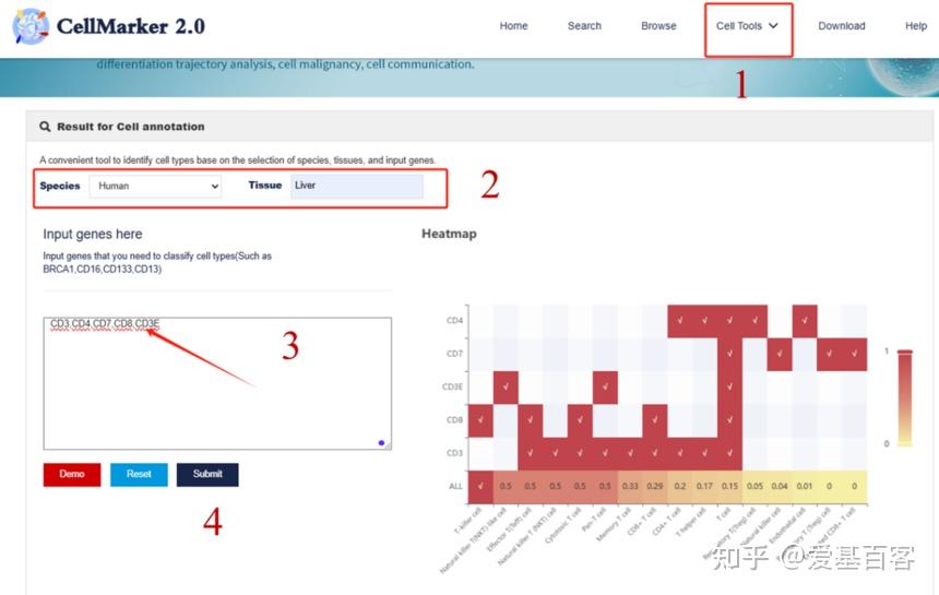 干货分享 | 如何使用单细胞标记的marker基因数据库Cell Marker2.0? - 知乎