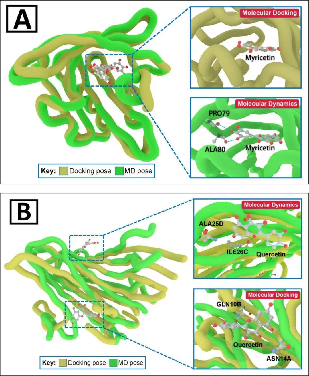重庆大学梁桂兆教授课题组JAFC综述：分子模拟方法在食品科学中的应用：现状与前景 - 知乎