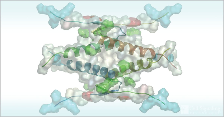 ICLR2022 | SphereNet与G-SphereNet : 3D分子图表示与分子几何生成的自回归流模型 - 知乎