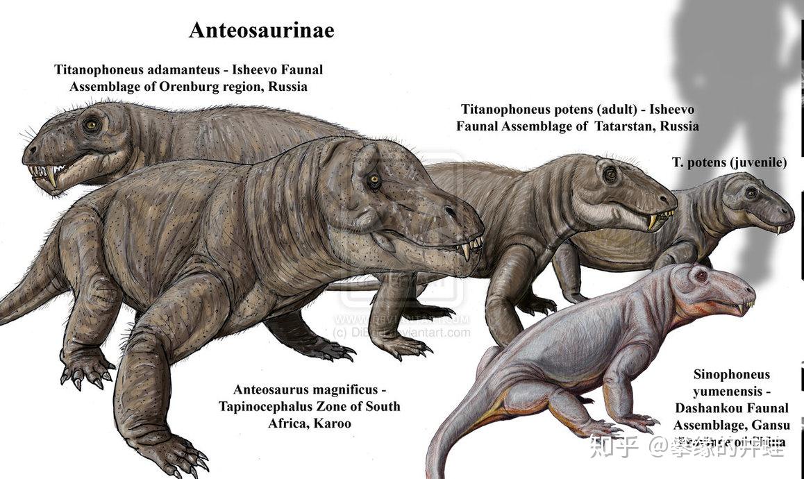 【地球演义】百兽图6：惊饕餮 - 知乎