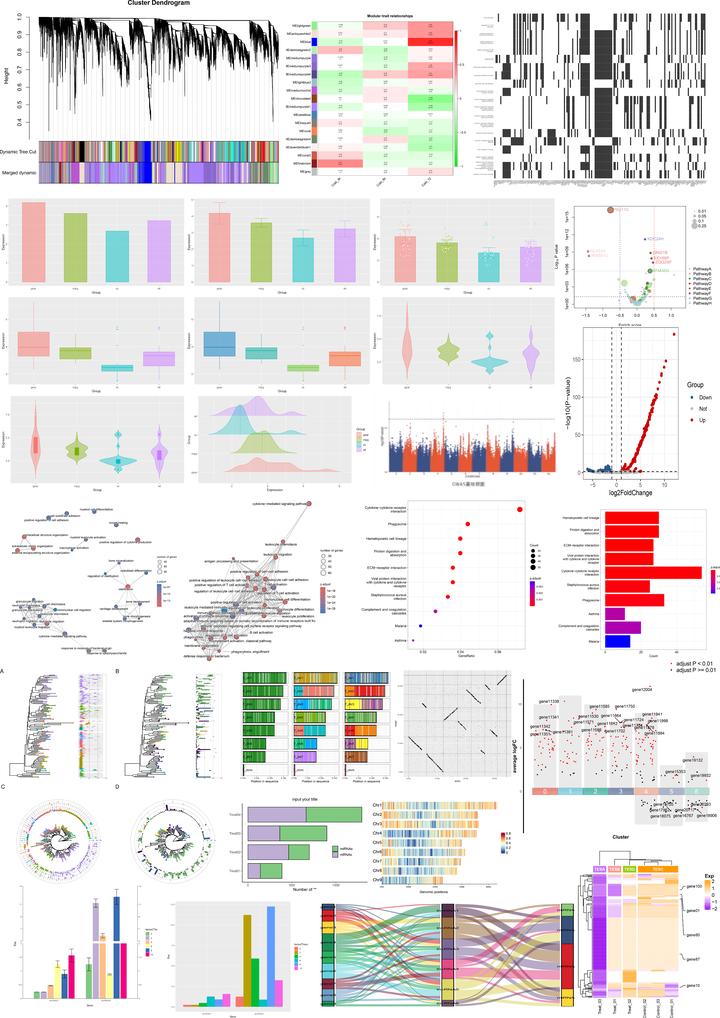 R语言绘图总汇 |覆盖教程所有图形 | 一 - 知乎