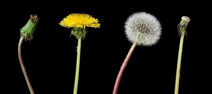 按照ISA-88和ISA-95管理产品生命周期的所有过程 - 知乎