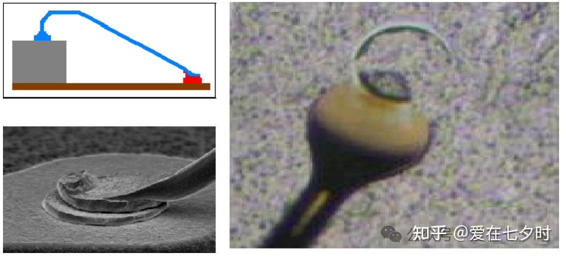 半导体封装Wire Bonding 打线邦定（引线键合技术）的详解； - 知乎