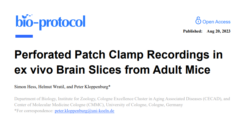 精准保真：成年小鼠脑切片的穿孔膜片钳录制新法 - 知乎