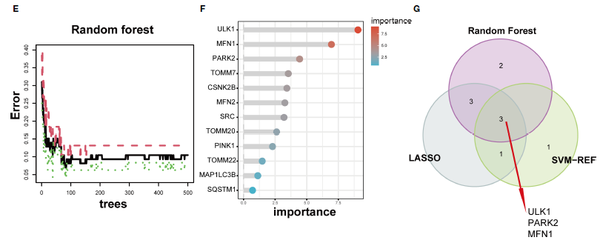 最新6分+非肿瘤的免疫浸润纯生信思路！3种机器学习算法齐上阵，筛选线粒体自噬相关诊断基因！ - 知乎