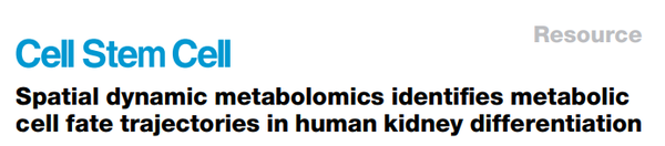 Cell Stem Cell（IF 25）| 单细胞转录组+空间代谢组学识别人类肾脏分化中的代谢细胞命运轨迹 - 知乎