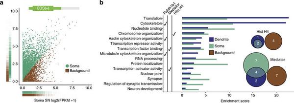 Gene Ontology 数据库介绍（part I） - 知乎
