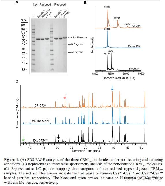 Pfenex-CRM197-默克VAXNEUVANCE获FDA批准用于预防成人侵袭性肺炎球菌疾病 - 知乎