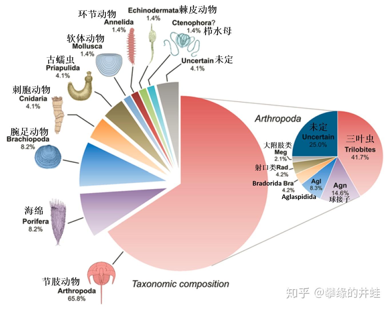【地球演义】寒武纪的余烬：节肢动物篇 - 知乎