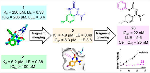 浅谈FBDD及据此发现的上市药 - 知乎