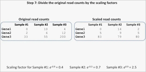 一文详解 DEseq2 差异分析原理和实践 - 知乎