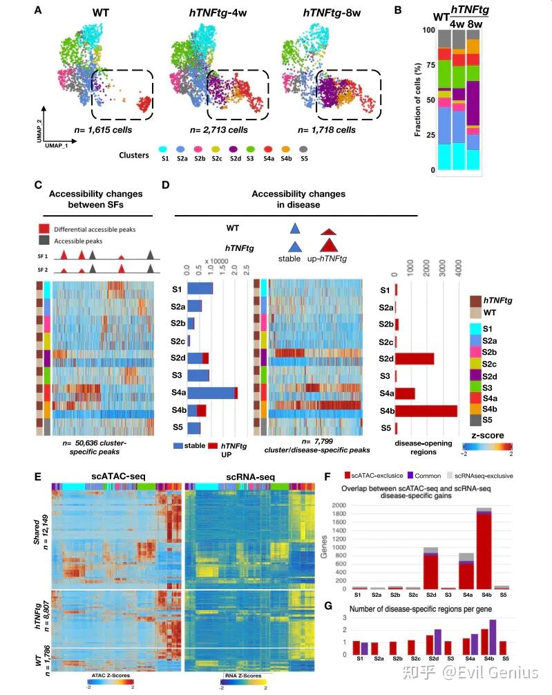 单细胞多组学（scRNA + scATAC或者snRNA + snATAC）联合分析的ATAC分析部分的解读 - 知乎
