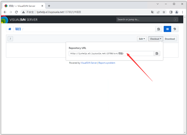 如何访问内网的SVN服务器（图文详解） - 知乎