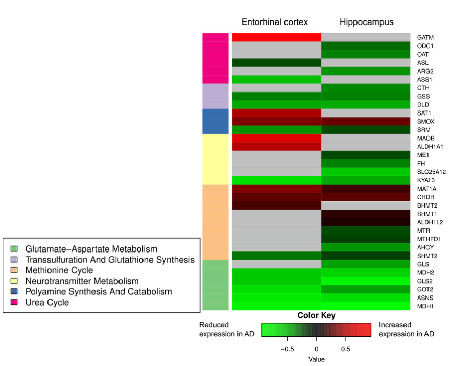 PLoS Med｜转录组+代谢组又一力作——阿尔兹海默症转甲基化及多胺通路代谢失调 - 知乎