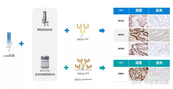 60秒dMMR/MSI-H实体瘤简明释义 - 知乎