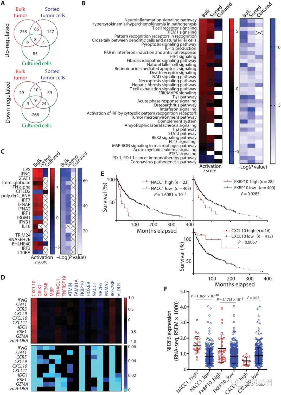Sci Adv | 黑色素瘤固有NR2F6活性调节抗肿瘤免疫 - 知乎