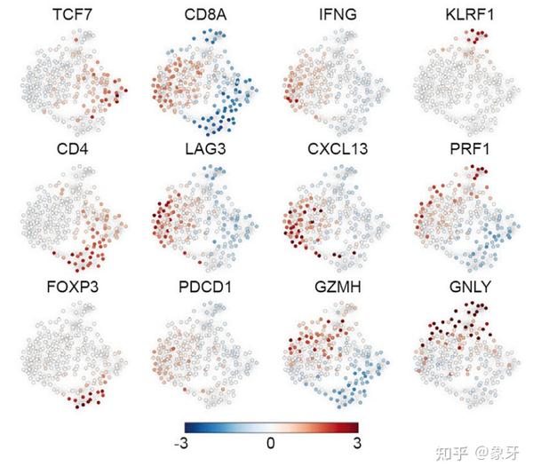 scRNAseq新包速递-SuperCell - 知乎