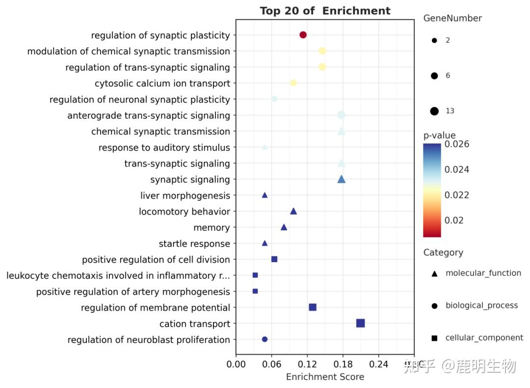 探“云”指南 | 欧易云GO/KEGG气泡图制作秘籍 - 知乎