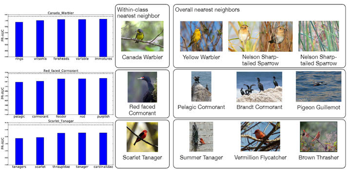 ZSL-Predicting ZS CNN using Textual Descriptions - 知乎